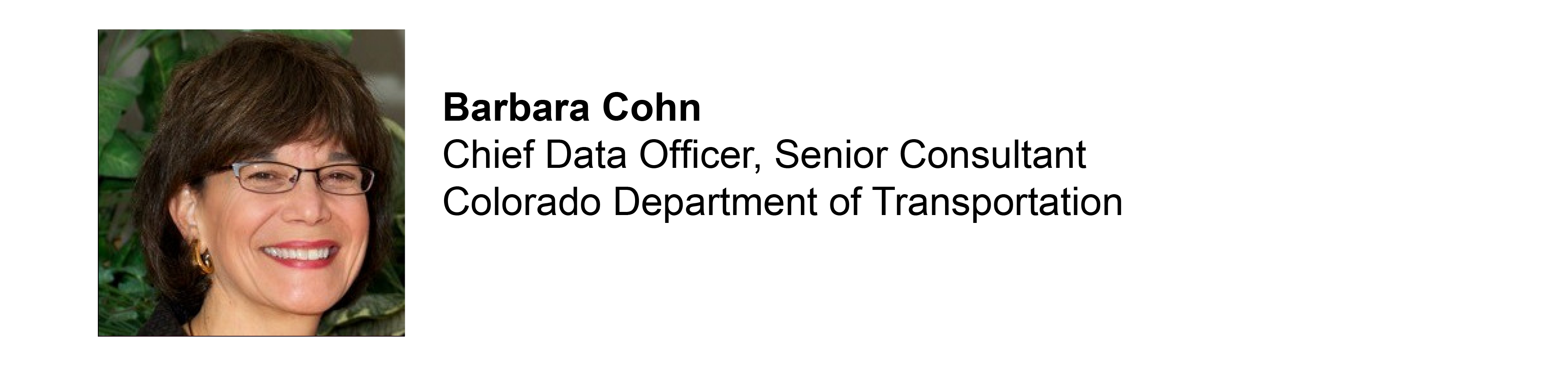 Barbara Cohn site image - IMIA | International Map Industry Association