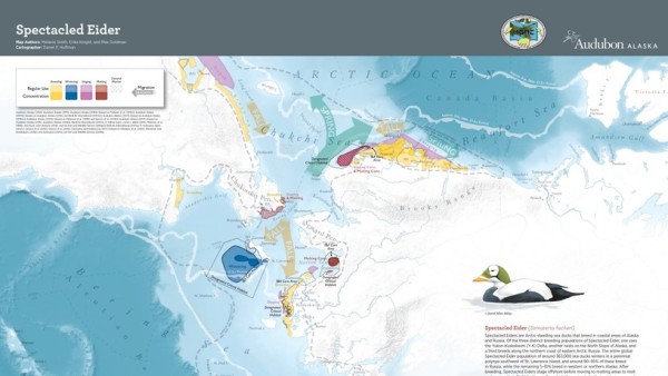 ICA-IMIA Recognition of Excellence in Cartography - IMIA ...